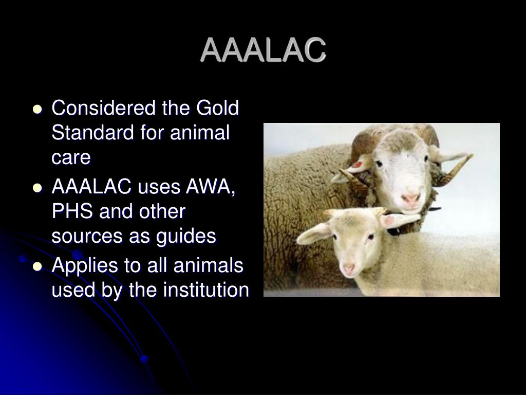 PPT - Historical Perspectives of Research Animal Protection PowerPoint ...