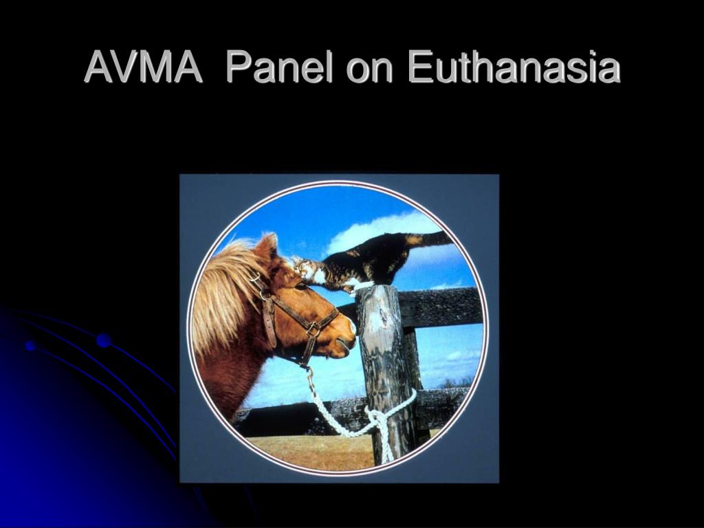 PPT - Historical Perspectives of Research Animal Protection PowerPoint ...