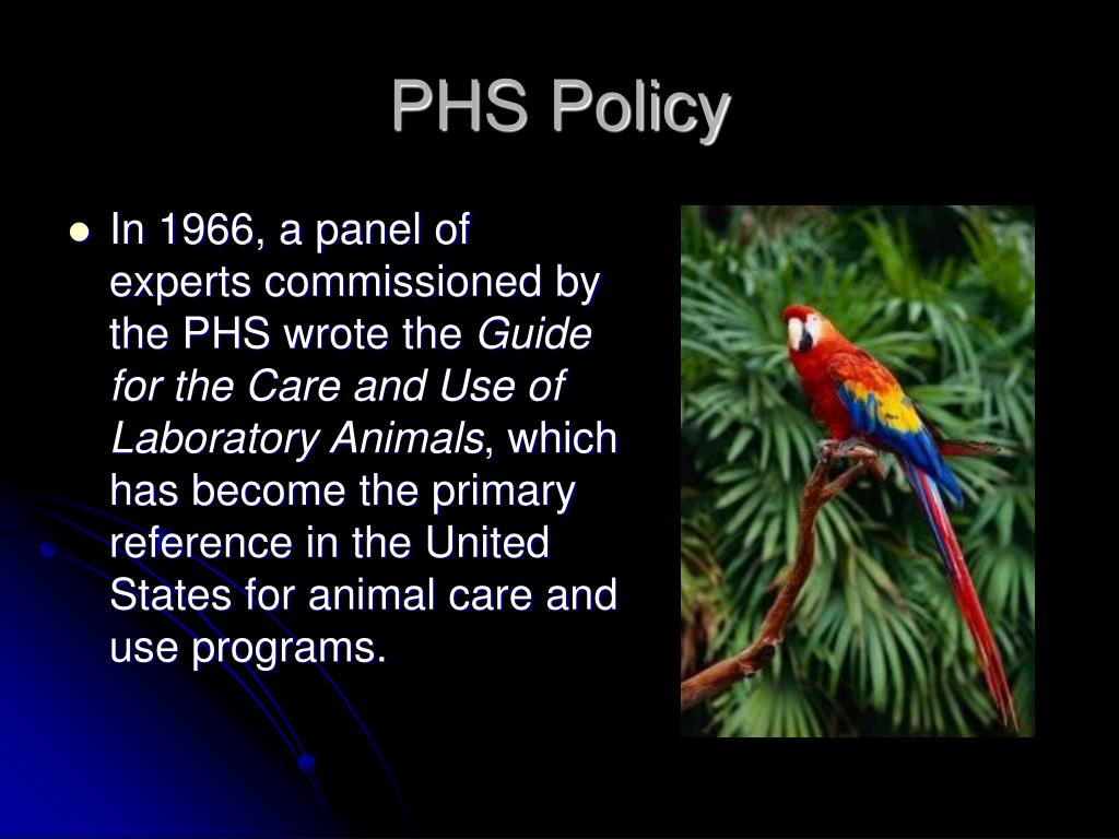 PPT - Historical Perspectives of Research Animal Protection PowerPoint ...