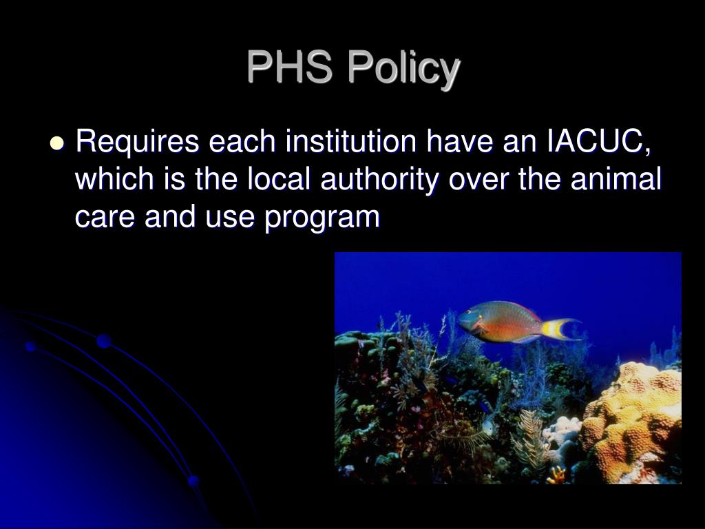 PPT - Historical Perspectives of Research Animal Protection PowerPoint ...