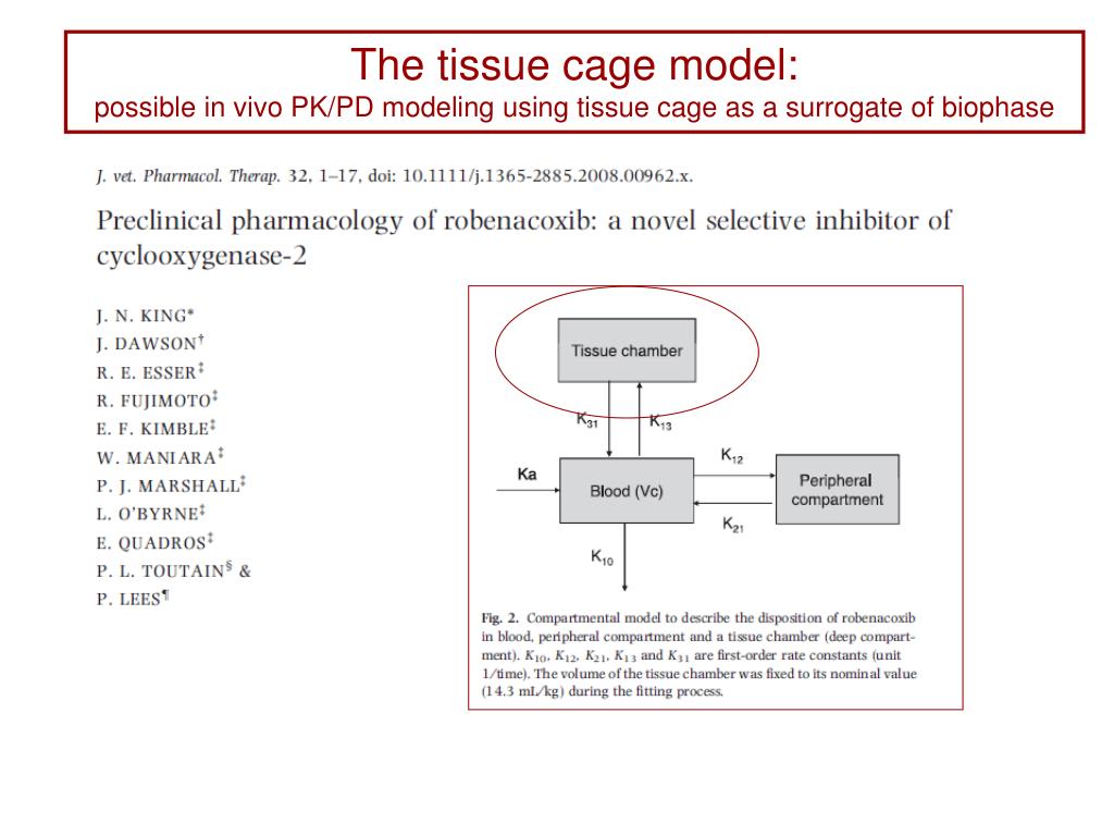 PPT - PL Toutain UMR 181 Physiopathologie et Toxicologie Expérimentales ...