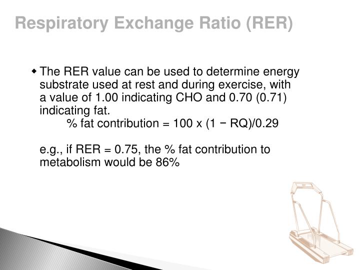 PPT - Respiratory Exchange Ratio (RER) PowerPoint Presentation - ID:3366766