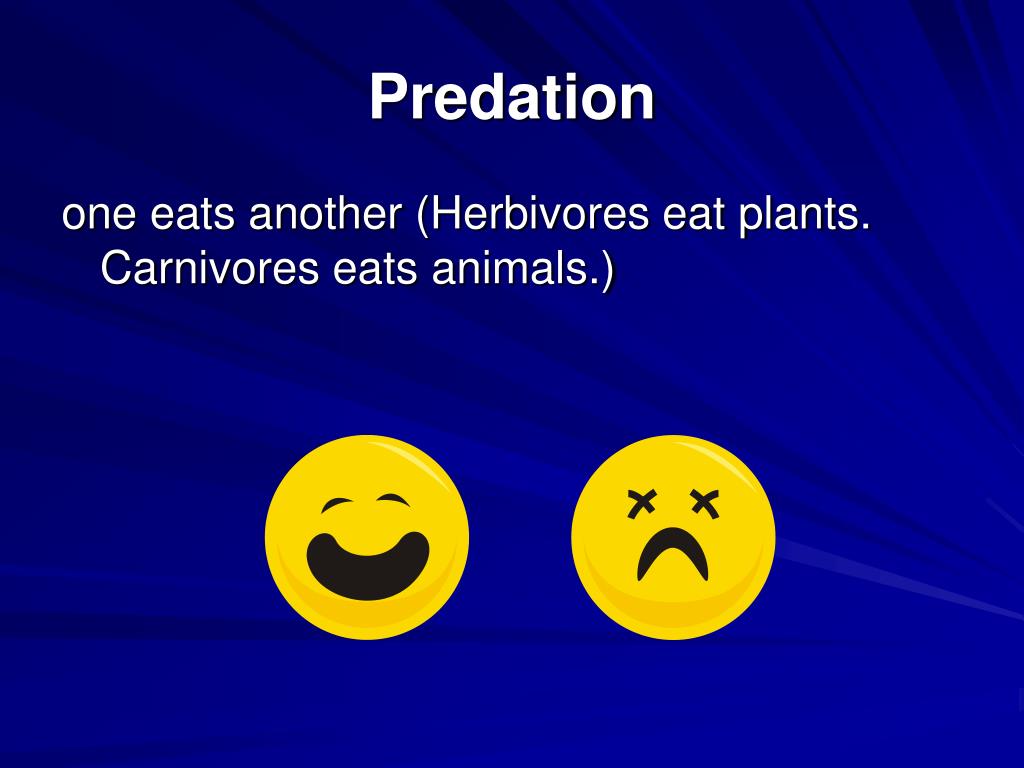 PPT - Competition, Predation, Symbiosis, Mutualism, Commensalism, or ...