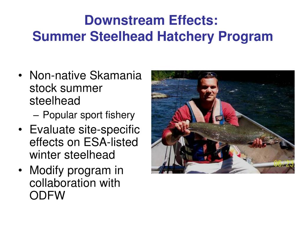 PPT - Mindy Simmons US Army Corps of Engineers Dorie Welch, Daniel ...