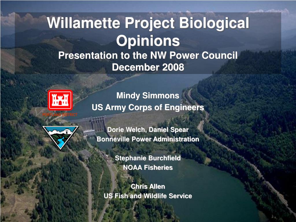 Stephanie Burchfield