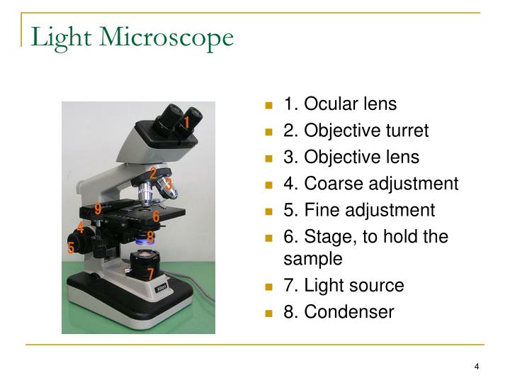 PPT - The use of microscope PowerPoint Presentation - ID:3367488