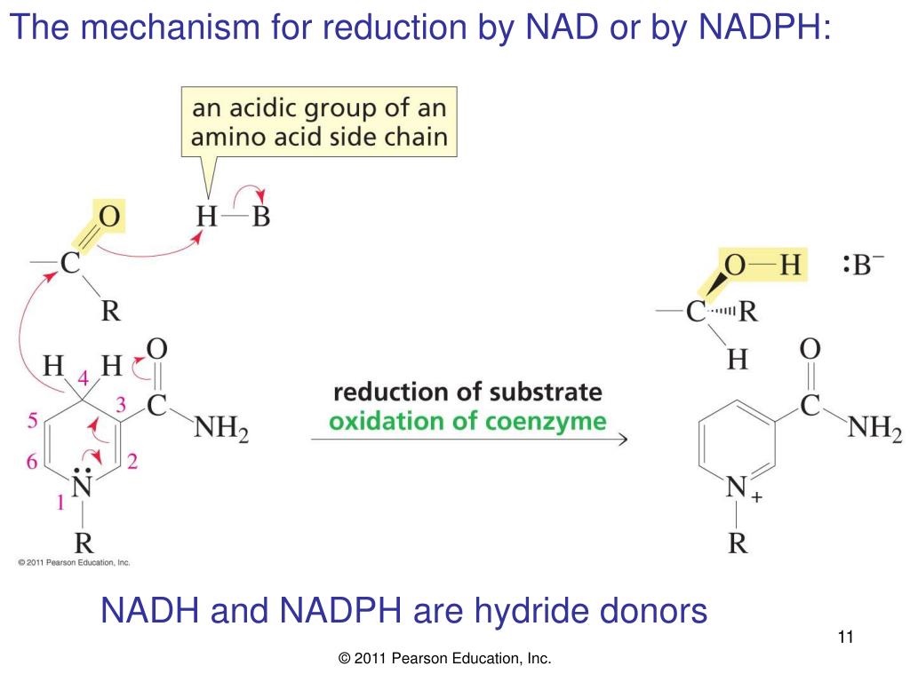 PPT - Organic Chemistry 6 th Edition Paula Yurkanis Bruice PowerPoint ...