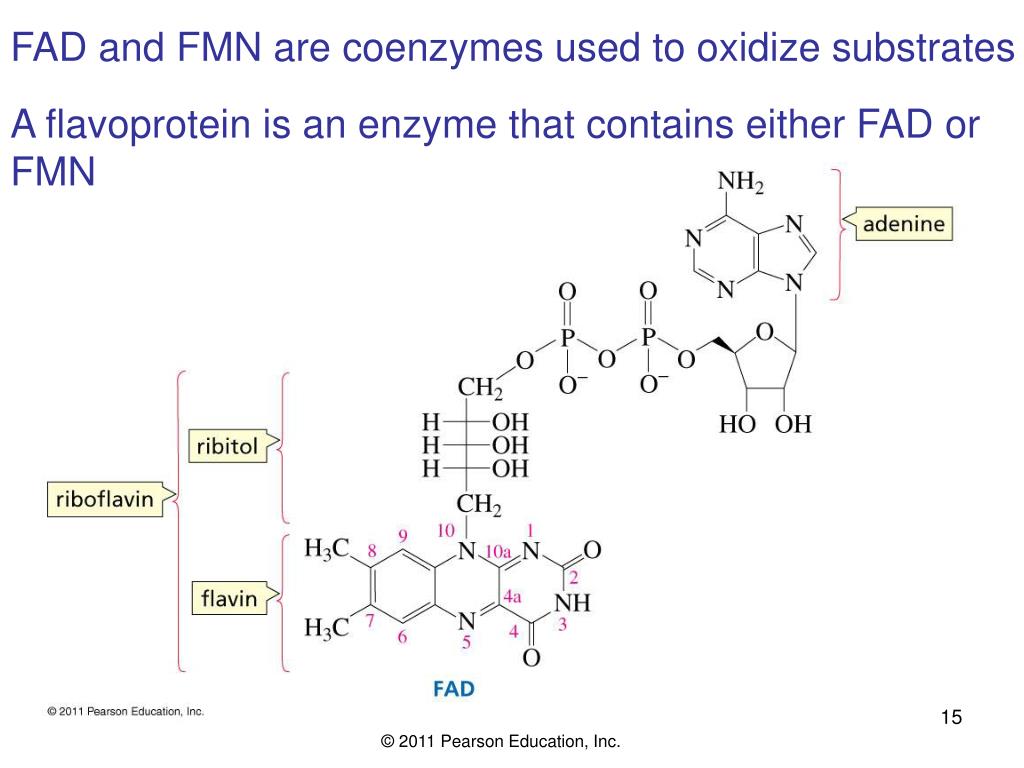 PPT - Organic Chemistry 6 th Edition Paula Yurkanis Bruice PowerPoint ...