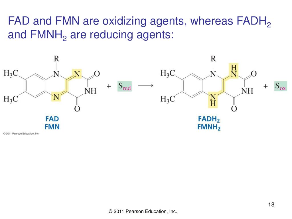 PPT - Organic Chemistry 6 th Edition Paula Yurkanis Bruice PowerPoint ...
