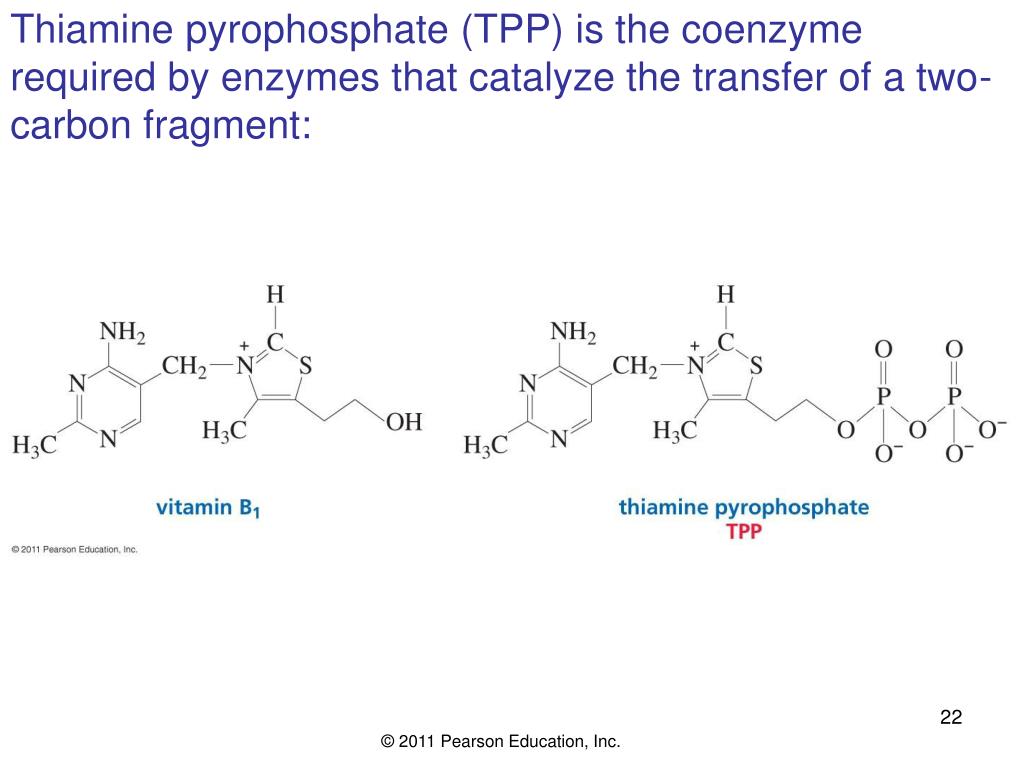 PPT - Organic Chemistry 6 th Edition Paula Yurkanis Bruice PowerPoint ...