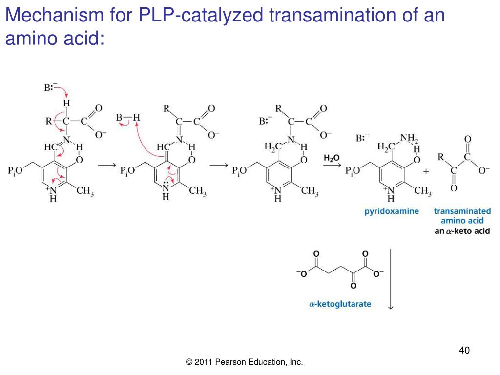 PPT - Organic Chemistry 6 th Edition Paula Yurkanis Bruice PowerPoint ...
