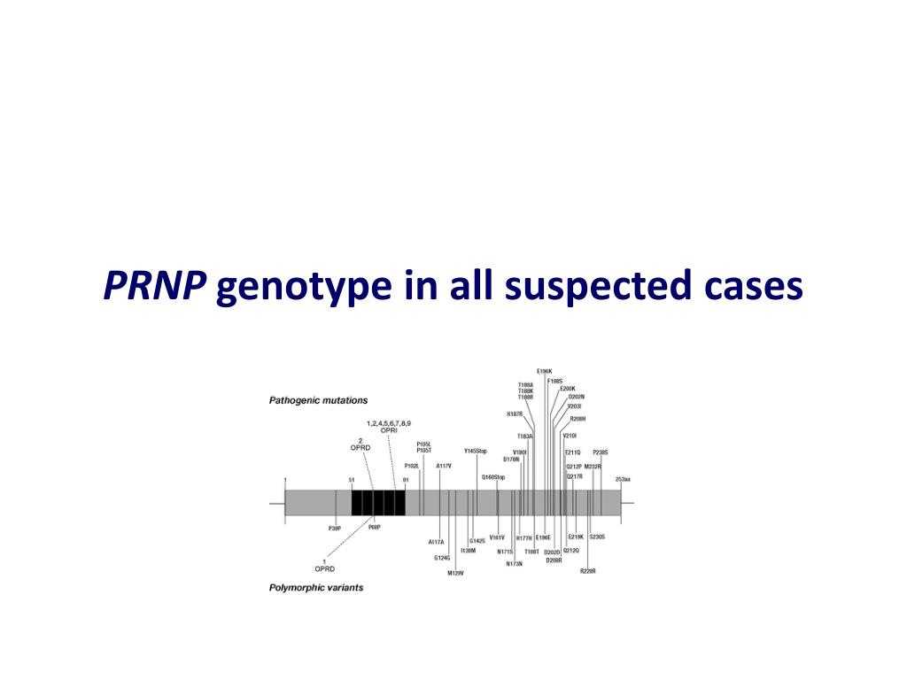 PPT - Surveillance of Human Prion Diseases PowerPoint Presentation ...