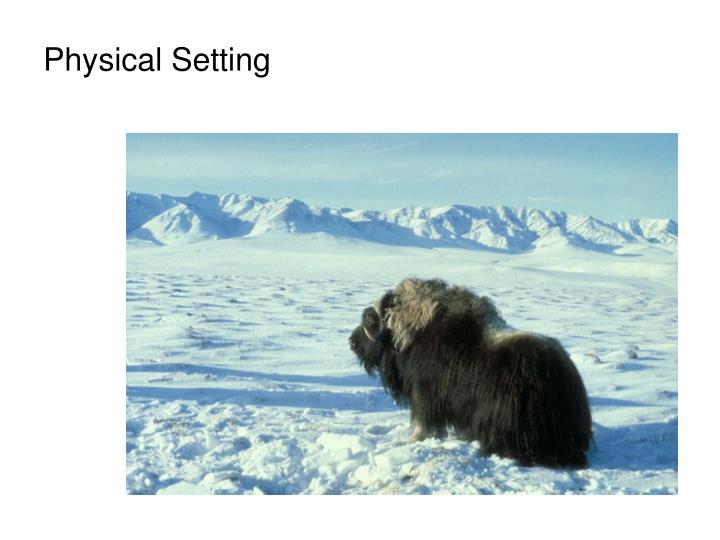 PPT - Physical Setting PowerPoint Presentation, free download - ID:3367804