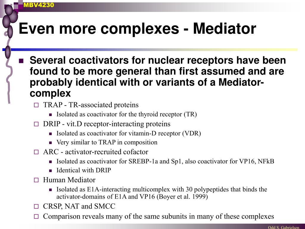 PPT - The super-family of nuclear receptors PowerPoint Presentation ...