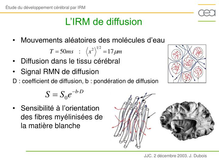 PPT - Étude du développement cérébral par IRM conventionnelle, IRM de ...