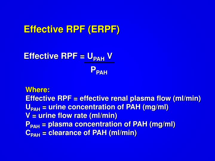 PPT - RENAL CLEARANCE PowerPoint Presentation - ID:3369067