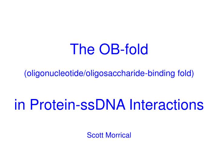 PPT - The OB-fold (oligonucleotide/oligosaccharide-binding fold) in ...