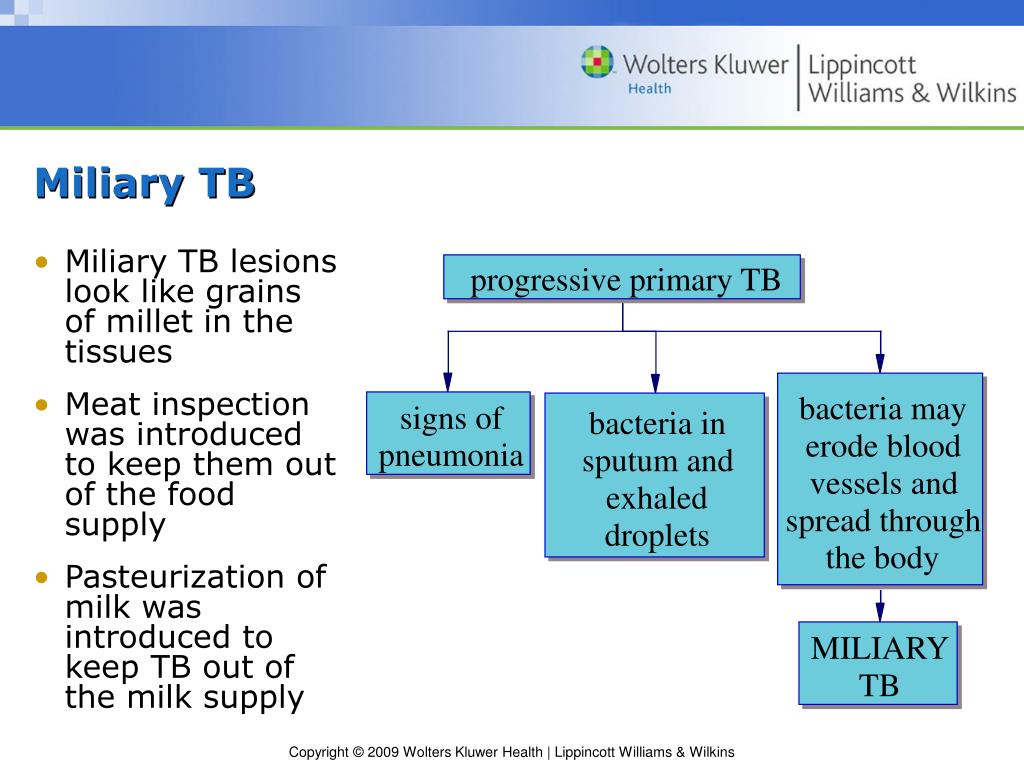PPT - Chapter 21 Respiratory Tract Infections, Neoplasia, and Childhood ...