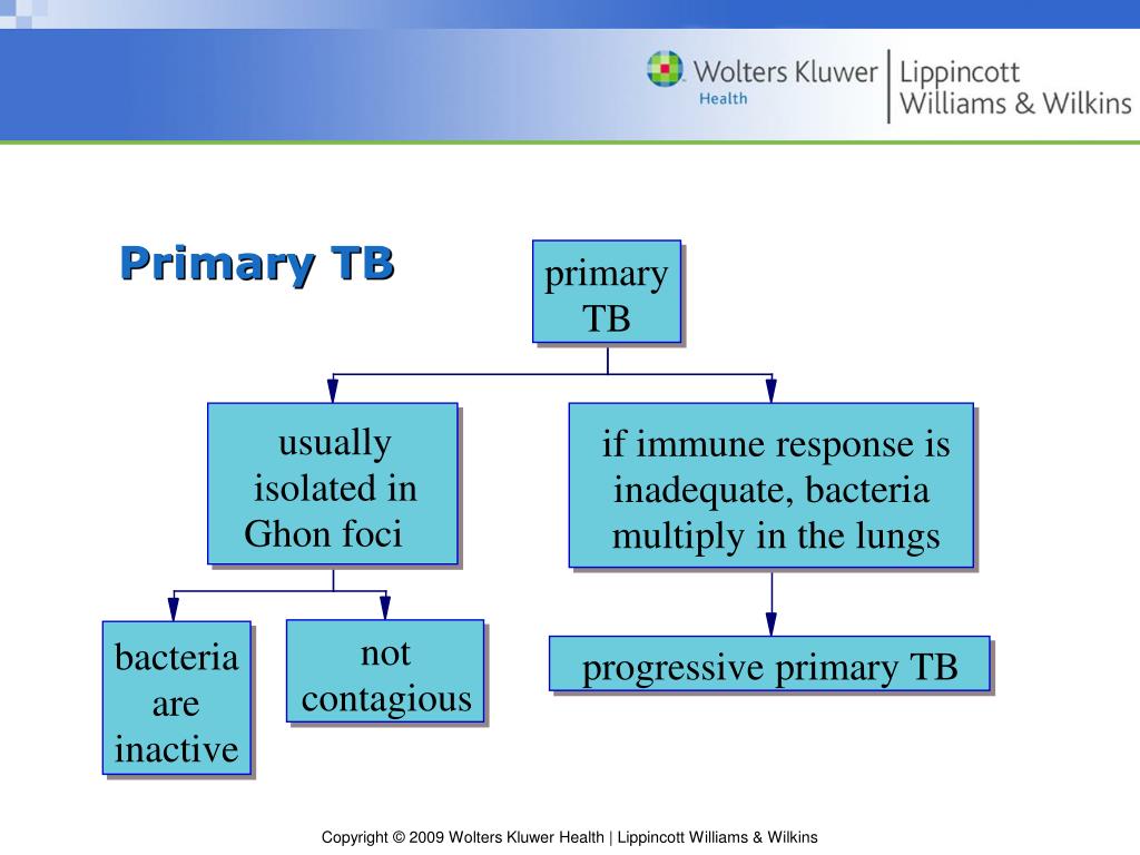 PPT - Chapter 21 Respiratory Tract Infections, Neoplasia, and Childhood ...