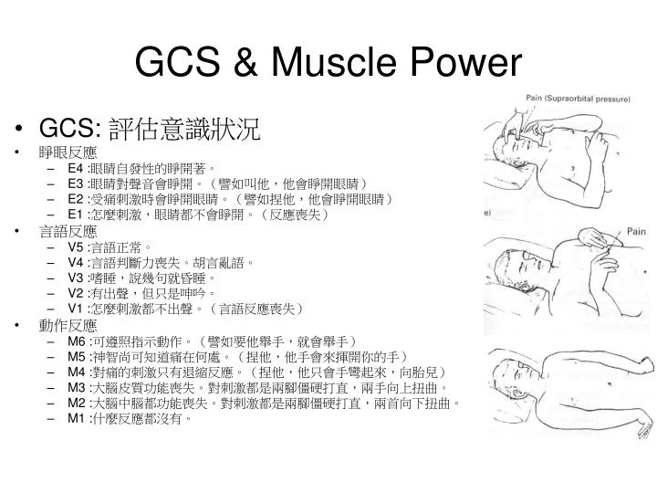 PPT - 動脈瘤術後照顧 PowerPoint Presentation - ID:3369662