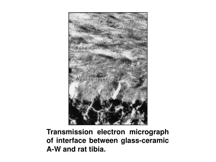 PPT - Transmission electron micrograph of interface between glass ...