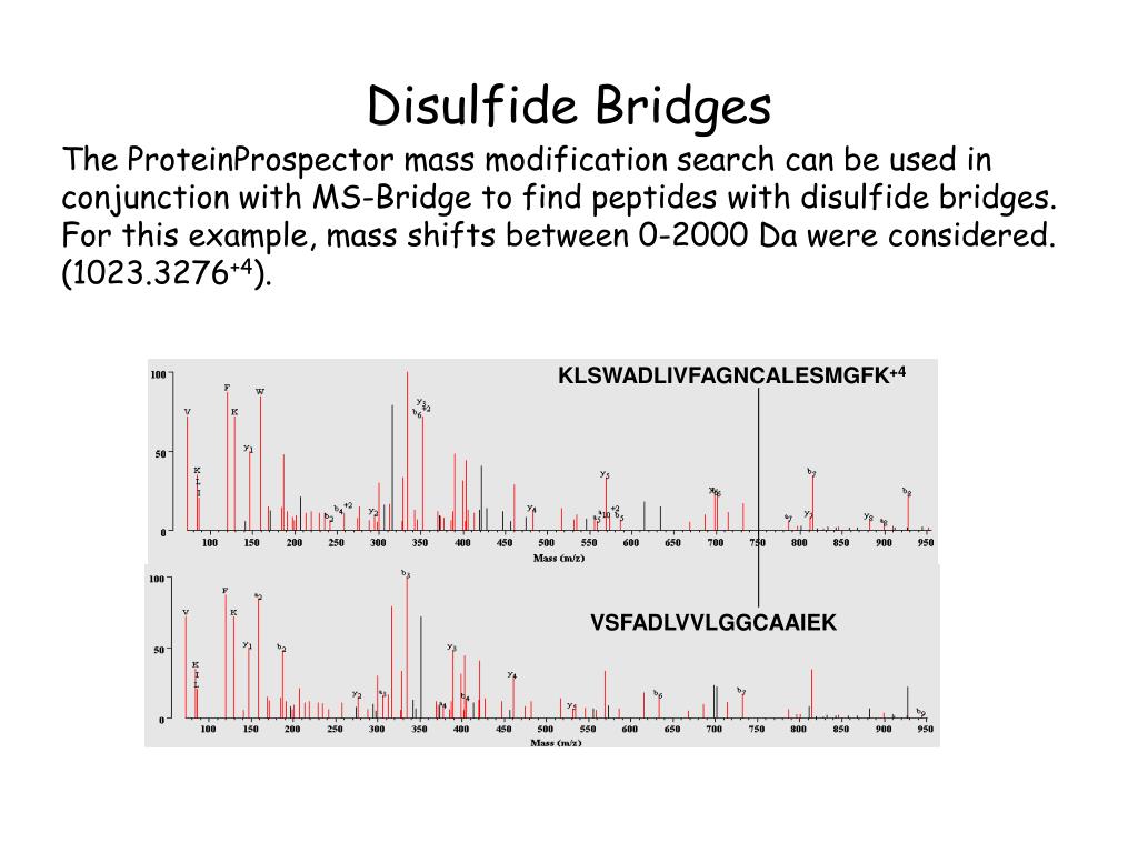 PPT - Post-translational modifications PowerPoint Presentation, free ... PPT - Post-translational modifications PowerPoint Presentation, free ...