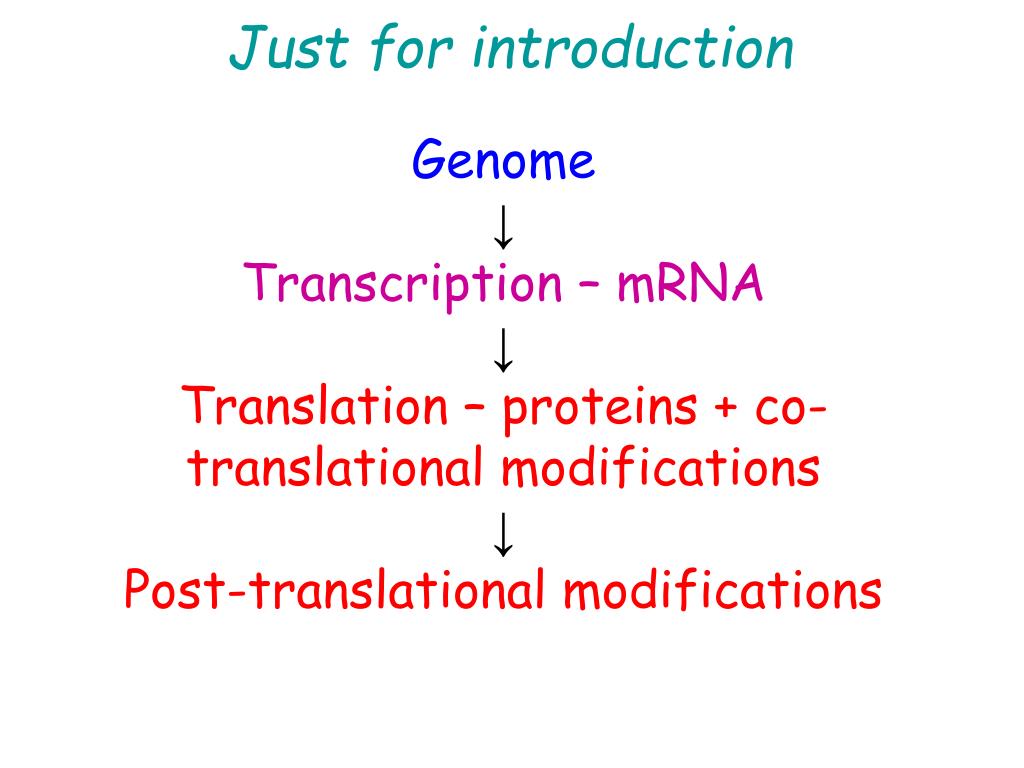 PPT - Post-translational modifications PowerPoint Presentation, free ... PPT - Post-translational modifications PowerPoint Presentation, free ...