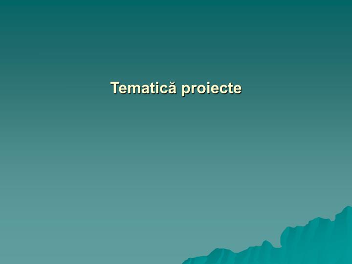 PPT - Tematică proiecte PowerPoint Presentation, free download - ID:3370842