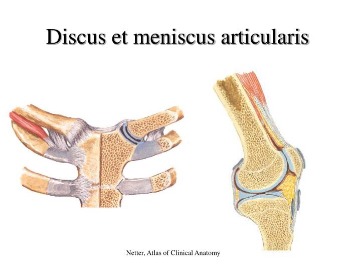 PPT - General arthrology PowerPoint Presentation - ID:3371479