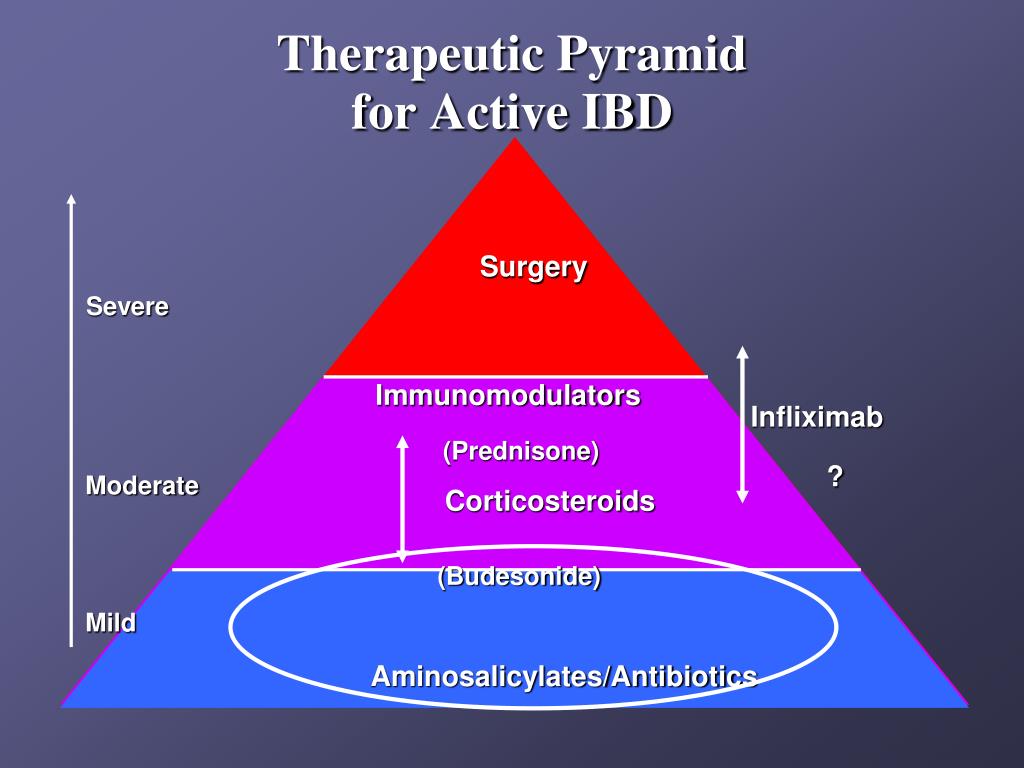 PPT - Therapy of Inflammatory Bowel Diseases 2013 PowerPoint ...