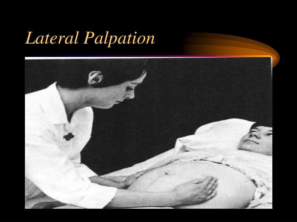 PPT - PERUBATAN PEMERIKSAAN FIZIKAL (Sistem Reproduktif Wanita ...