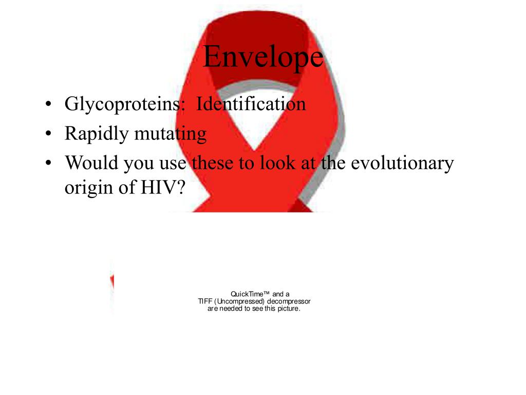 PPT - Using Molecular Information to Investigate the Evolutionary ... PPT - Using Molecular Information to Investigate the Evolutionary ...
