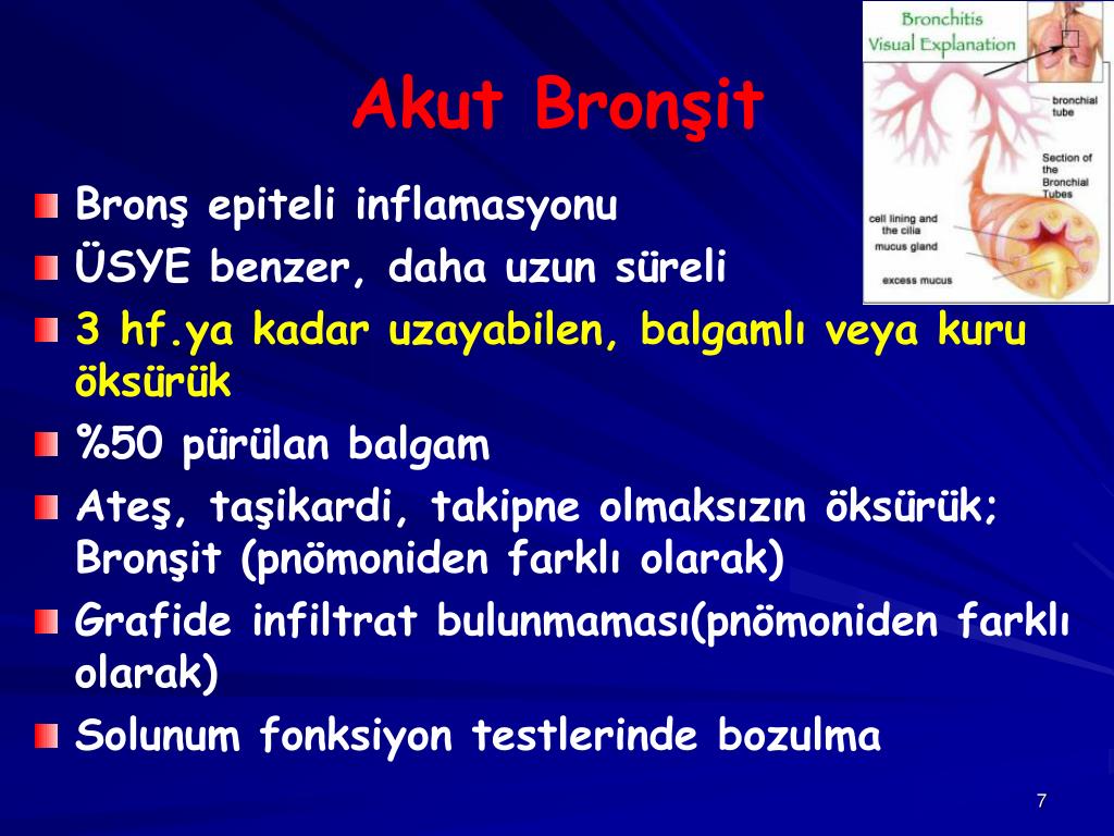 PPT - Alt Solunum yolu enfeksiyonlarında mikrobiyolojik yaklaşım ...