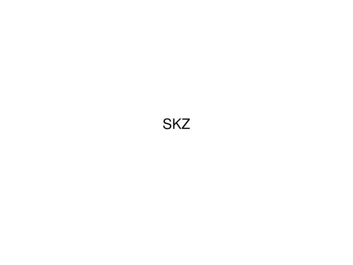 PPT - SKZ PowerPoint Presentation, free download - ID:3373426