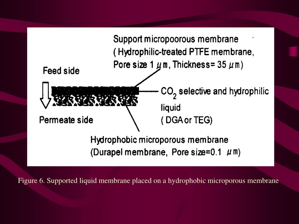 PPT - Supported Liquid Membrane Using Ionic Liquid PowerPoint ... PPT - Supported Liquid Membrane Using Ionic Liquid PowerPoint ...