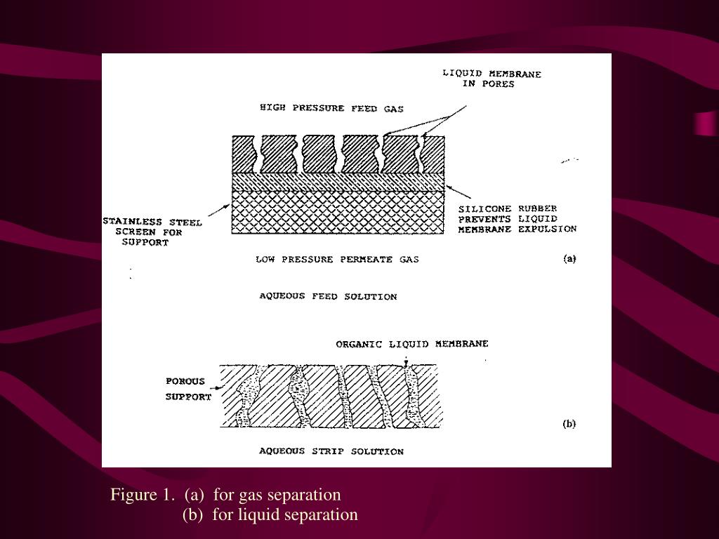 PPT - Supported Liquid Membrane Using Ionic Liquid PowerPoint ... PPT - Supported Liquid Membrane Using Ionic Liquid PowerPoint ...