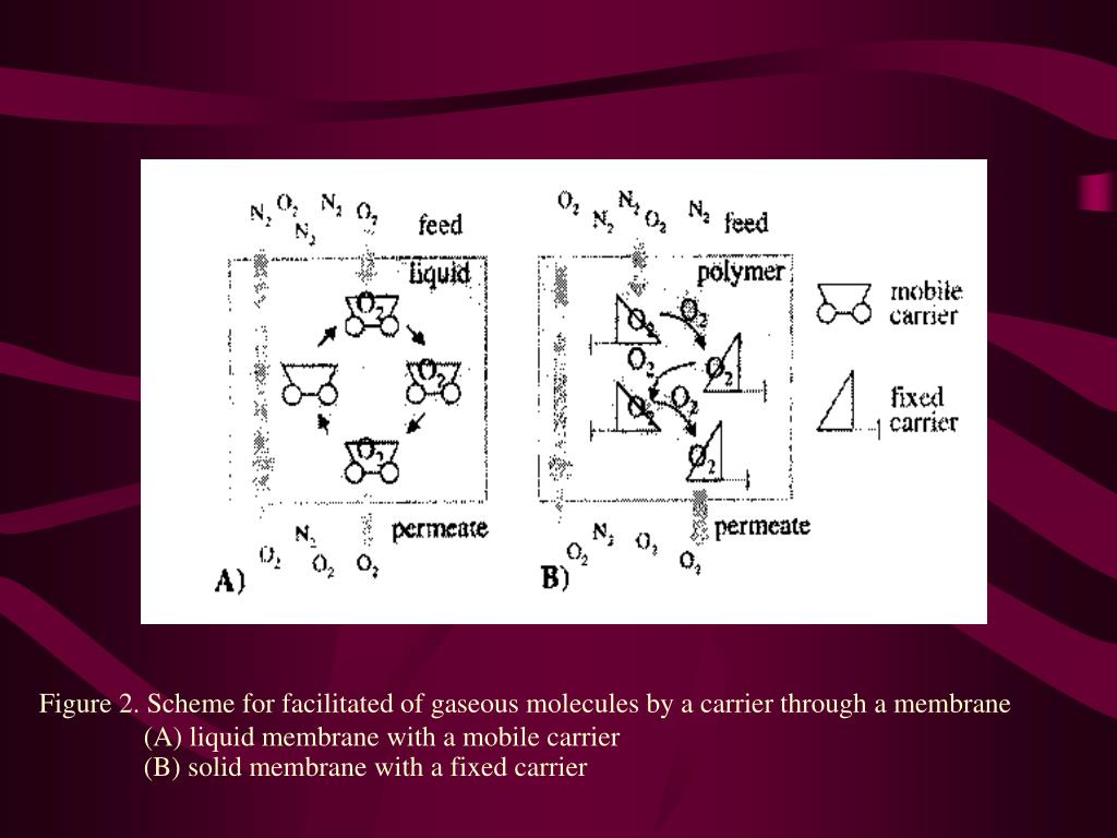 PPT - Supported Liquid Membrane Using Ionic Liquid PowerPoint ... PPT - Supported Liquid Membrane Using Ionic Liquid PowerPoint ...