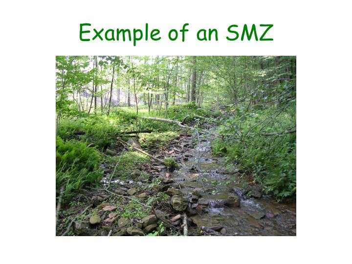 PPT - Example of an SMZ PowerPoint Presentation, free download - ID:3373816