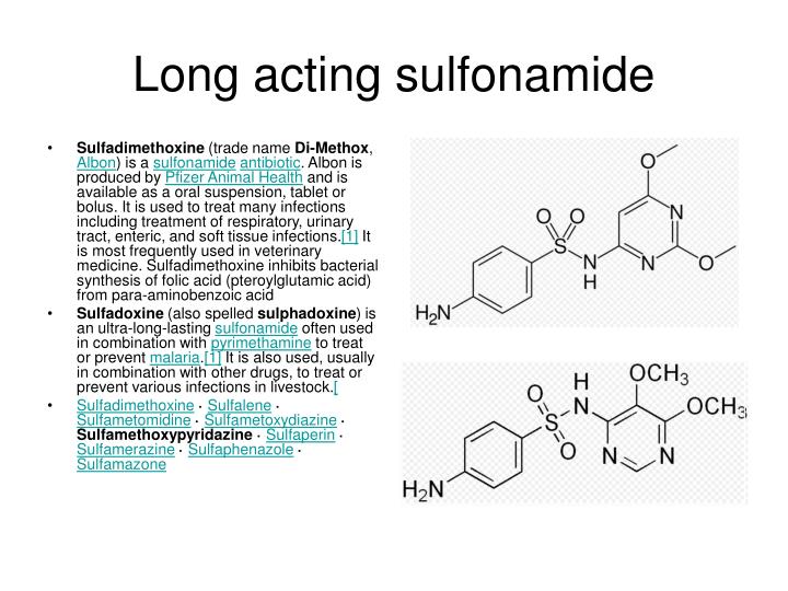 PPT - Sulfonamide PowerPoint Presentation - ID:3374005