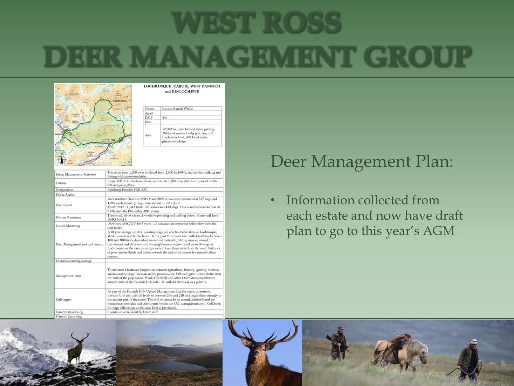 PPT - RANDAL WILSON Chair West Ross Deer Management Group PowerPoint ...