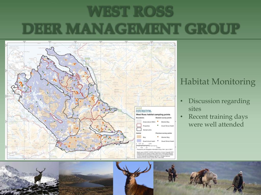 PPT - RANDAL WILSON Chair West Ross Deer Management Group PowerPoint ...