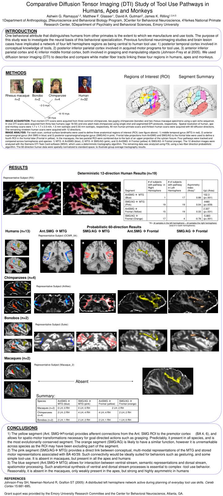 PPT - Comparative Diffusion Tensor Imaging (DTI) Study of Tool Use ...