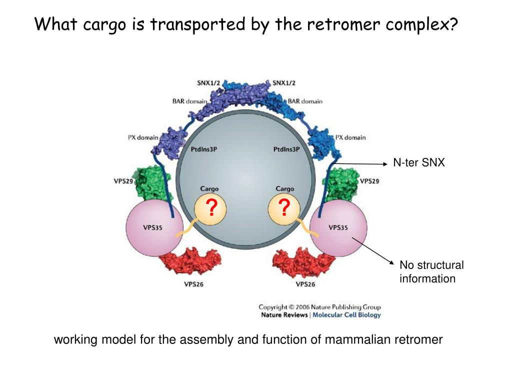 PPT - Master class Biomolecular Sciences Part 1: Molecular Cell Biology ...
