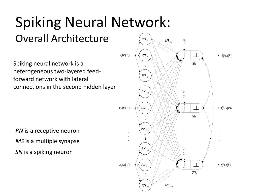 PPT - Clustering using Spiking Neural Networks PowerPoint Presentation ... PPT - Clustering using Spiking Neural Networks PowerPoint Presentation ...