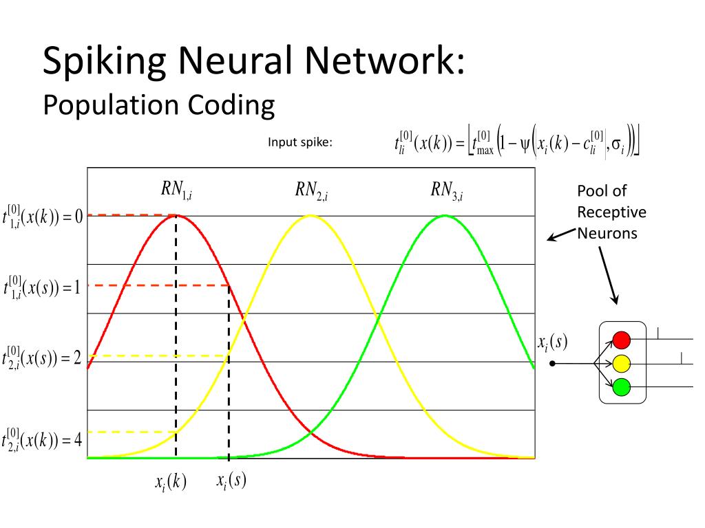 PPT - Clustering using Spiking Neural Networks PowerPoint Presentation ... PPT - Clustering using Spiking Neural Networks PowerPoint Presentation ...