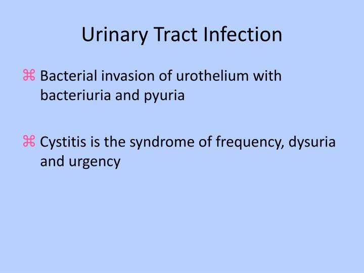PPT - Recurrent Urinary Tract Infections PowerPoint Presentation - ID ...