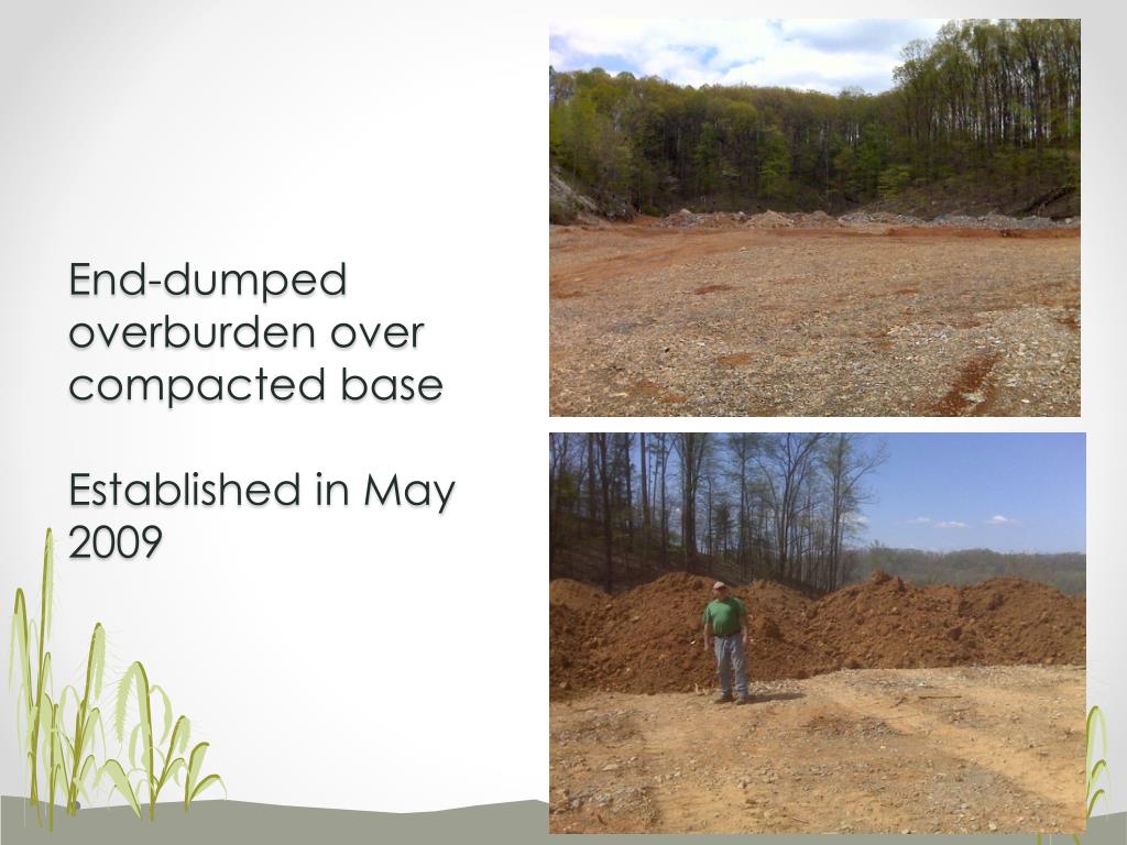 PPT - Factors influencing the Establishment of Volunteer Vegetation on ...