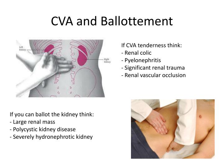 PPT - Professional Skills Urology Core Module PowerPoint Presentation ...