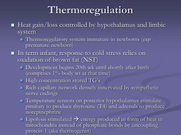 PPT - Temperature Control in the Neonate PowerPoint Presentation - ID ...