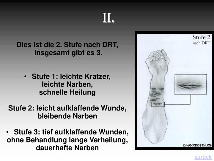 PPT - SVV PowerPoint Presentation - ID:3375989